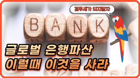 글로벌 은행 파산 나는 이것으로 대응한다 은행 파산 대응전략 Youtube