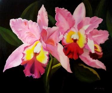Cataleya Colombian Flower Meaning Best Flower Site