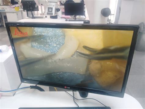 Sofie Van Den Bergh On Linkedin I Had The Pleasure To Follow The Bau Sofie Van Den Bergh On Linkedin I Had The Pleasure To Follow The Bau