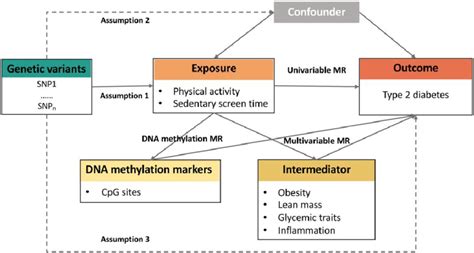 Multivariable Mendelian Randomization Mr Design Overview Snp