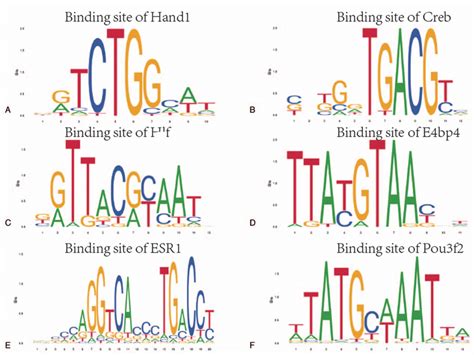 tfs binding site predicted by jaspar tfs transcription factors download scientific diagram
