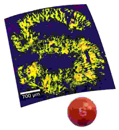 Witec Suite Six 数据采集与分析软件 Witec Raman Imaging 牛津仪器