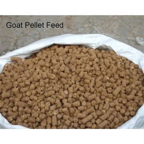 Goat Pellet Feed At Best Price In Wankaner By Raja Cattle Feed Id