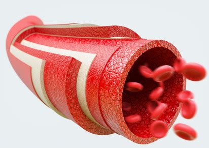 High Blood Iron Levels Iron Overload Causes Symptoms Treatment Healthhype