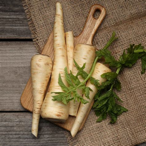 Parsnip Seeds Hollow Crown Vegetable Seeds In Packets And Bulk Eden Brothers Parsnip Seeds Hollow Crown Vegetable Seeds In Packets And Bulk Eden Brothers