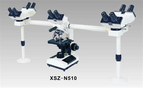 Multi Head Microscope With Led Pointer Buy Multi Head Microscope With