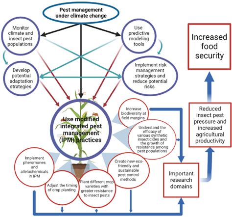 The Current Figure Highlights The Modified Ipm Approach Discussed In