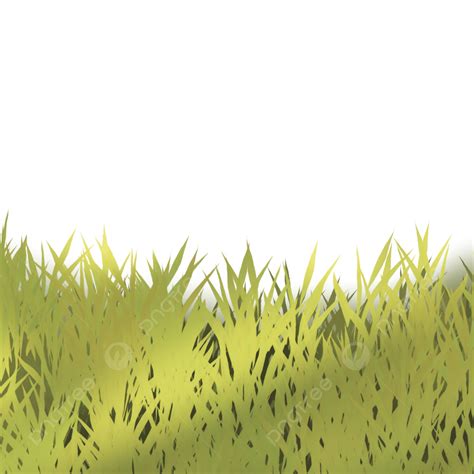 Grass Line Png At Hudson Gooch Blog Grass Line Png At Hudson Gooch Blog