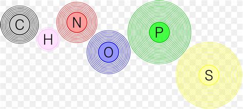 Chon Hydrogen Nitrogen Phosphorus Carbon Png 1200x538px Chon Atom Biology Carbon Chemical