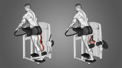 Hamstring Leg Curls Benefits Muscles Used And More With Pictures Inspire Us