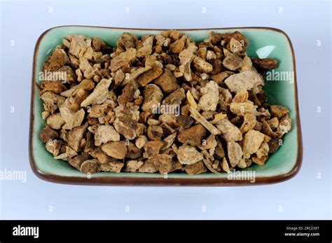 Large Headed Atractylodes Root Atractylodis Macrocephalae Rhiz Bai