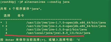 怎么使用Linux中的alternatives命令替换选择软件版本 开发技术 亿速云