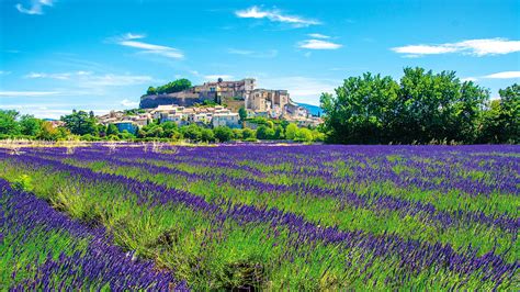 Tasting Highlights 12 French Rosé Wine Discoveries