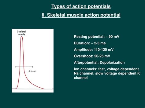 Ppt Introduction To Electrophysiology Basics Of Resting Membrane
