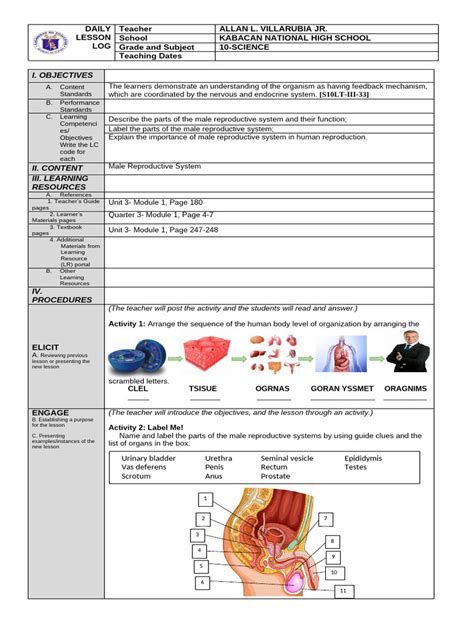 Dll Day 1 Male Reproductive System Pdf Prostate Sex Organ