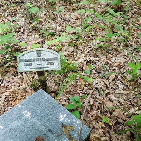 Mary Martha Anne Taulbee Stacy 1877 1957 Find A Grave Memorial