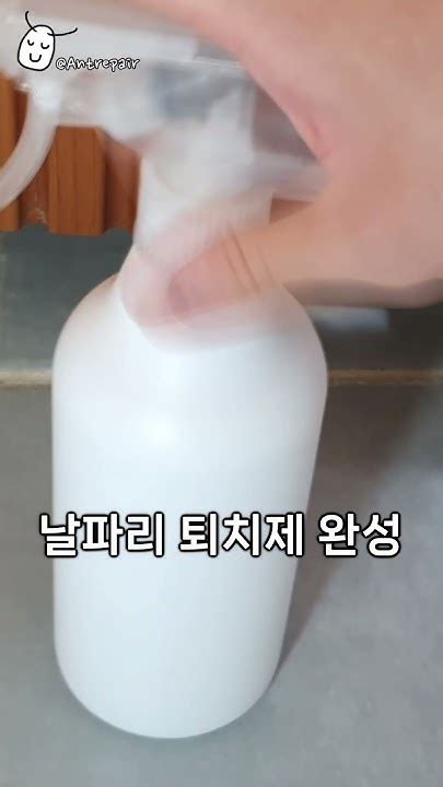 100 초간단 날파리 초파리 벼룩파리 없애는 방법 Youtube