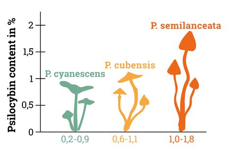 Psilocybin Qtest Miraculix Qtests And More