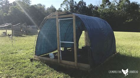 How To Make A Cattle Panel Structure Cosmopolitan Cornbread