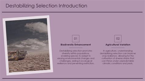 Destabilizing Selection Introduction Destabilizing Selection PPT Summary ACP PPT Example