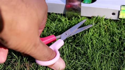 Measuring Grass With Ruler And Cutting It Perfectly With Small Scissors
