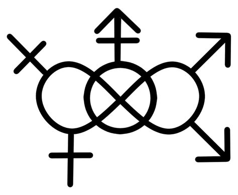 Omnisexual Definition Identity And History