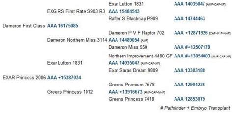 Exar Classen 1422b • Origen Semen And Certificates For Sale