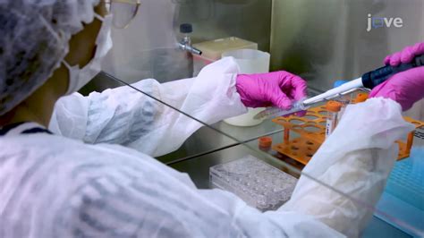 Double Labeling Technique At Nicholas Packard Blog