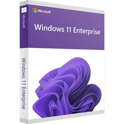 Windows Enterprise Pasegiant