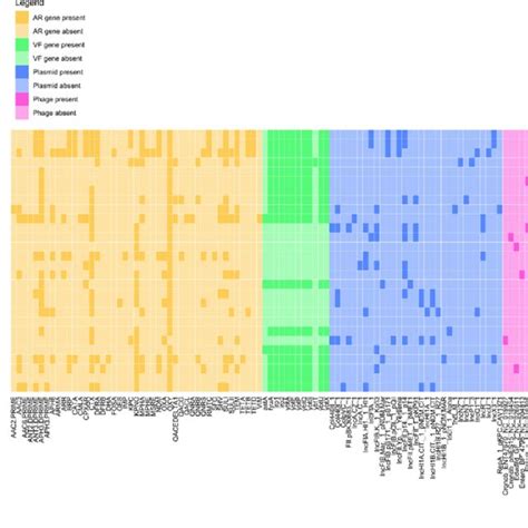 Results Of The Antimicrobial Resistance Genes Virulence Genes Download Scientific Diagram