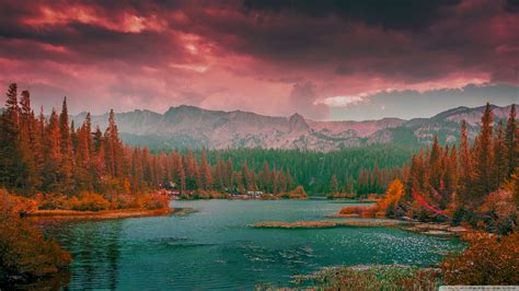 Aesthetic Beautiful Nature Wallpaper 2560x1440 56410 Baltana