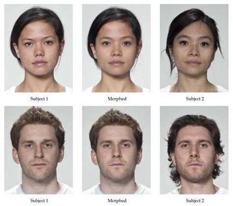 Face Morphing A Modern Threat To Border Security Recent Advances And
