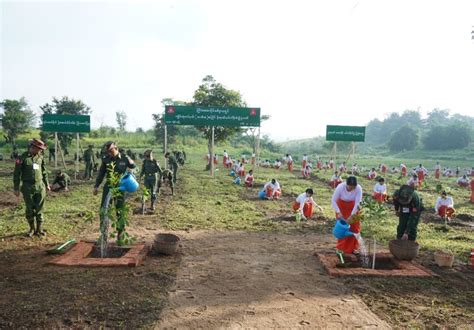 ကာကွယ်ရေးဦးစီးချုပ်ရုံး ကြည်း၊ ရေ၊ လေ မိသားစုများ၏ ၂၀၂၄ ခုနှစ် တတိယအကြိမ် မိုးရာသီသစ်ပင်စိုက်ပ