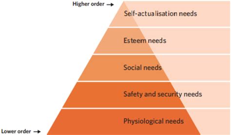 Unit 3 AOS 2 Maslow S Hierarchy Of Needs Flashcards Quizlet