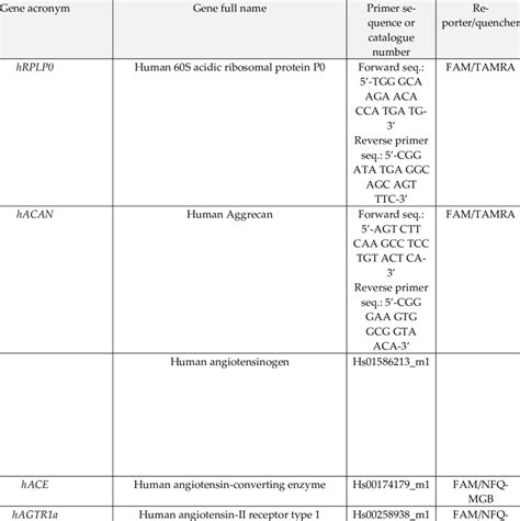 Characteristics Of Custom Designed Primer Probes And Gene Expression