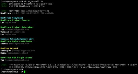 轻量级可视化路由追踪的神器 NextTrace CNBoy 四海部落