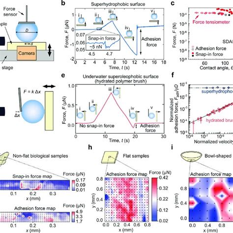 Vertical Adhesion Force Measurements A Schematic Of The Scanning Download Scientific Diagram