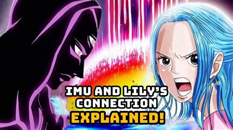 One Piece Imu And Lily S Connection Explained YouTube