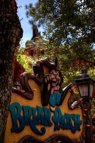 The Briar Patch Disney Rides Disney World Magic Kingdom Disney Theme Parks