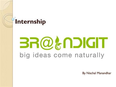 Report On Web Development Pdf Web Design And Html Internet