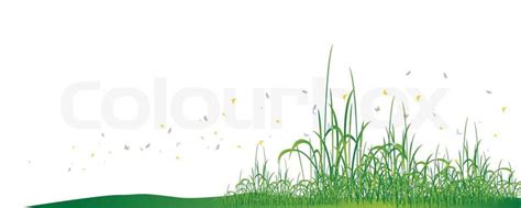 Vector Illustration Of Tracing Grass With Colorful Butterfli Colourbox