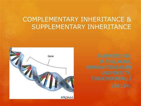 Interaction Of Genes Ppt
