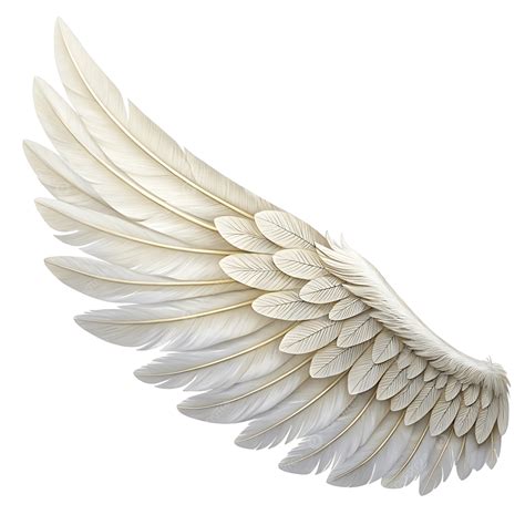 Angel Wing Simple
