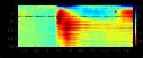 Figure Supplement 3 Determining Cortical Layers From An Inverse Download Scientific Diagram