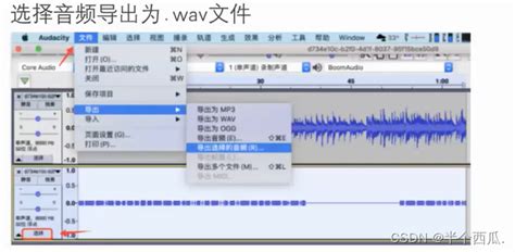 misc：音频隐写的破解方法 misc音频 csdn博客