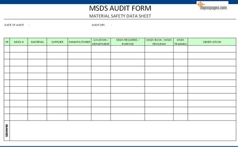 Msds Audit Form