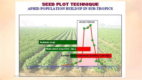 Seed Plot Technique In Potato Pptx Agriculture Industries Seed Plot Technique In Potato Pptx Agriculture Industries