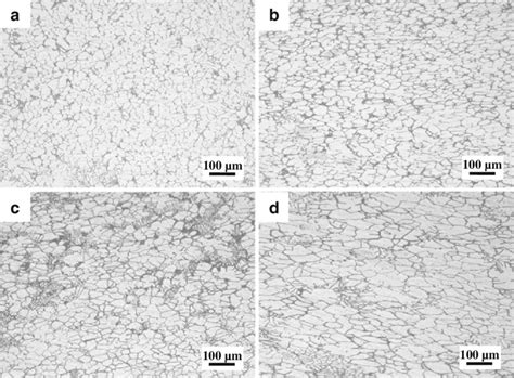 The Cross Section And The Longitudinal Section Microstructures Of The