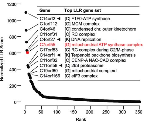 Functional Predictions For Uncharacterized Human Genes 349 Download Scientific Diagram