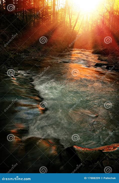 Stream In Sunset Stock Image Image Of Sunlight Urban 17888209